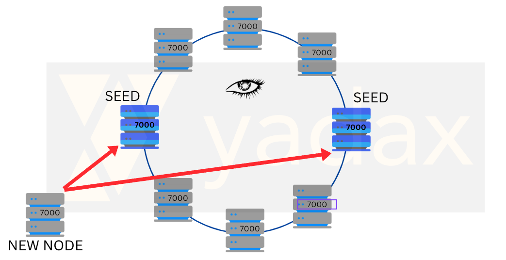 Criando seu primeiro cluster de Cassandra - Yadax Databases